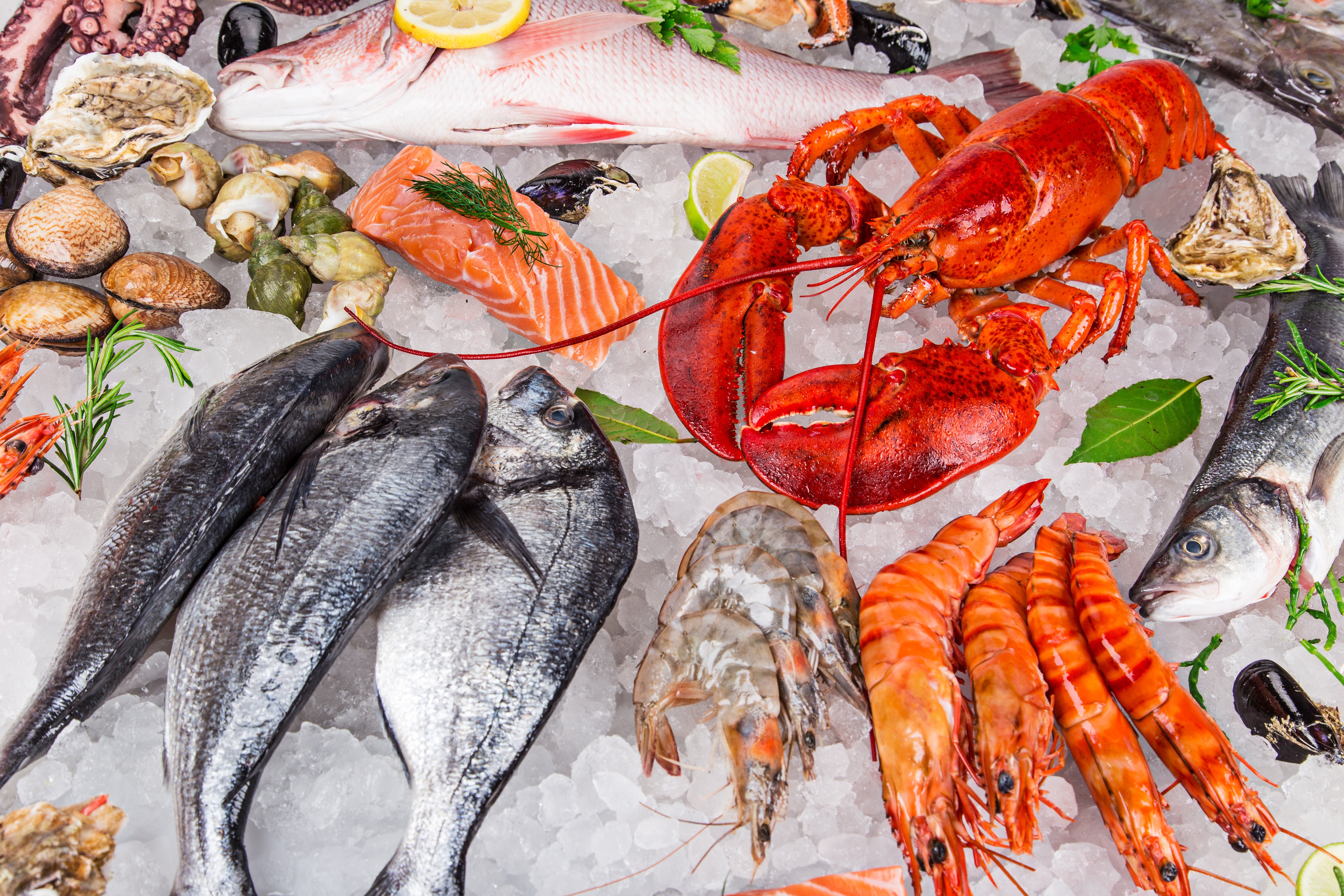 Seafood Off The Hook | Mobile Seafood Market – SeafoodOffTheHookFargo